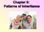 PPT - CHAPTER 9 Patterns of Inheritance PowerPoint Presentation, free download - ID:5241498