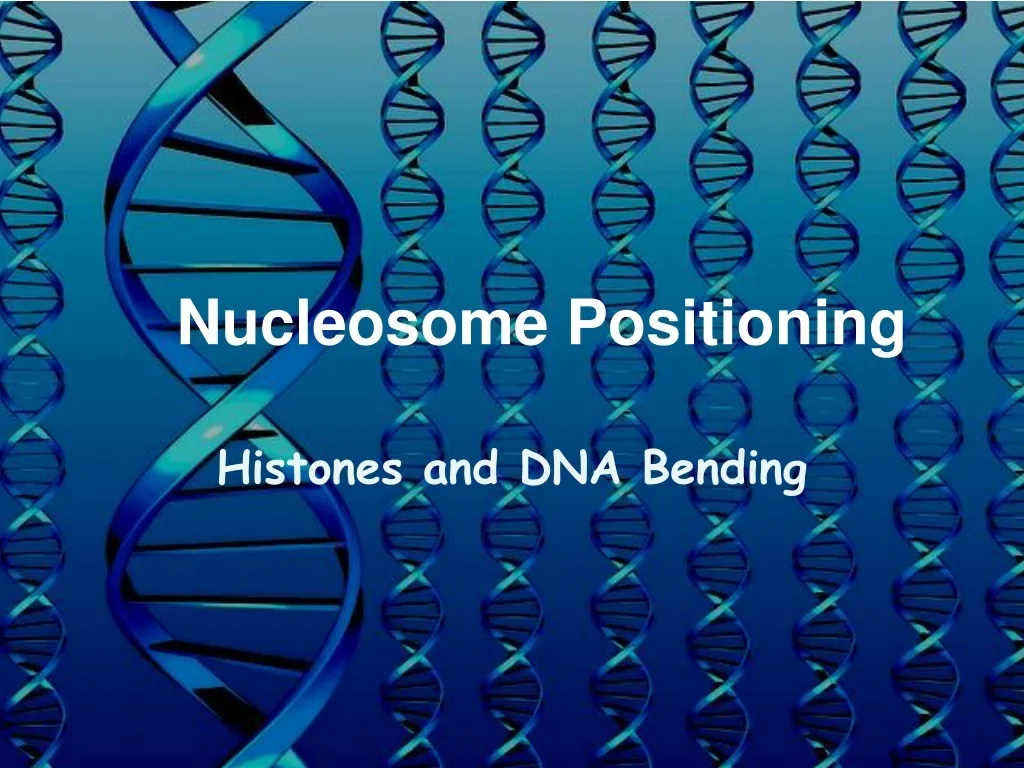 PPT - Unraveling the DNA Packaging Mystery: Histones, Nucleosome ...