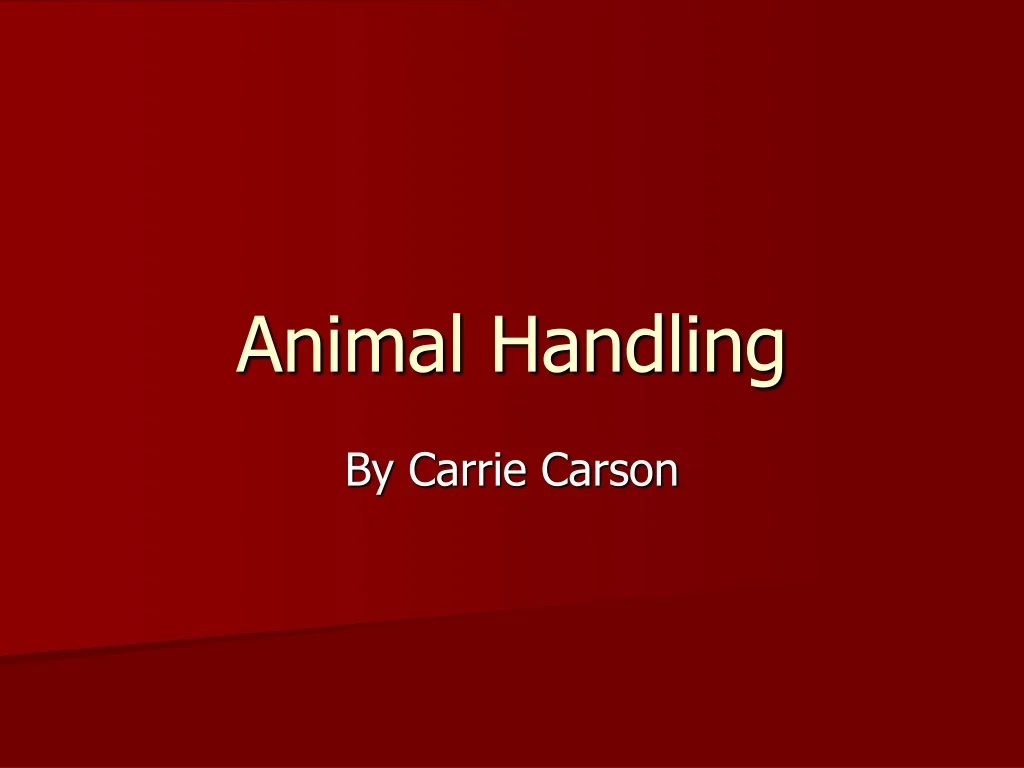 PPT - Effective Livestock Handling Techniques for Productivity and ...