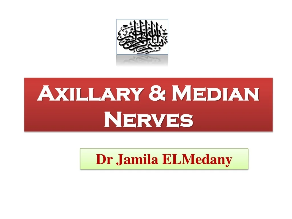 PPT - Axillary & Median Nerves by Dr. Jamila El Medany PowerPoint ...