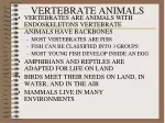 PPT - an introduction to the skeletal systems of vertebrate animals ...