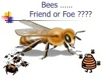 PPT - Identification Friend or Foe PowerPoint Presentation, free ...