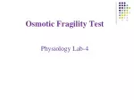 PPT - Osmotic Fragility Test PowerPoint Presentation, free download ...