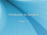 PPT - Introduction to Genetics PowerPoint Presentation, free download ...