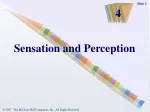 PPT - Sensation and Perception PowerPoint Presentation, free download ...