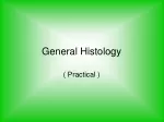 PPT - General Intestinal Histology PowerPoint Presentation, free ...