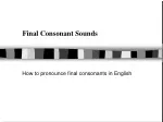 PPT - ENGLISH VOWEL AND CONSONANT SOUNDS TRANSCRIPTION PowerPoint ...