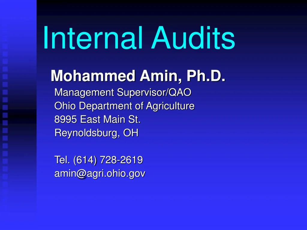 PPT - Internal Audits PowerPoint Presentation, free download - ID:9418955