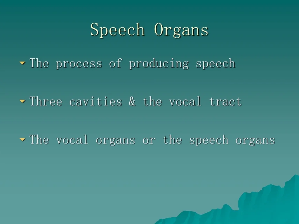 PPT - Speech Organs PowerPoint Presentation, free download - ID:9419046
