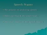 PPT - Human Speech Mechanism and Organs of speech PowerPoint ...