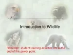 PPT - Introduction To Wildlife Management PowerPoint Presentation, free ...