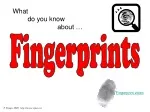 PPT - Fingerprints PowerPoint Presentation, free download - ID:3930838