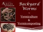 PPT - VERMICULTURE PowerPoint Presentation, free download - ID:642278