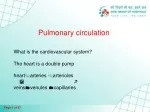 PPT - Pulmonary Circulation PowerPoint Presentation, free download - ID:2088231