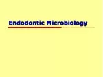 PPT - Endodontic Emergencies PowerPoint Presentation, free download ...