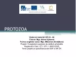 PPT - The Protozoa PowerPoint Presentation, free download - ID:1355515
