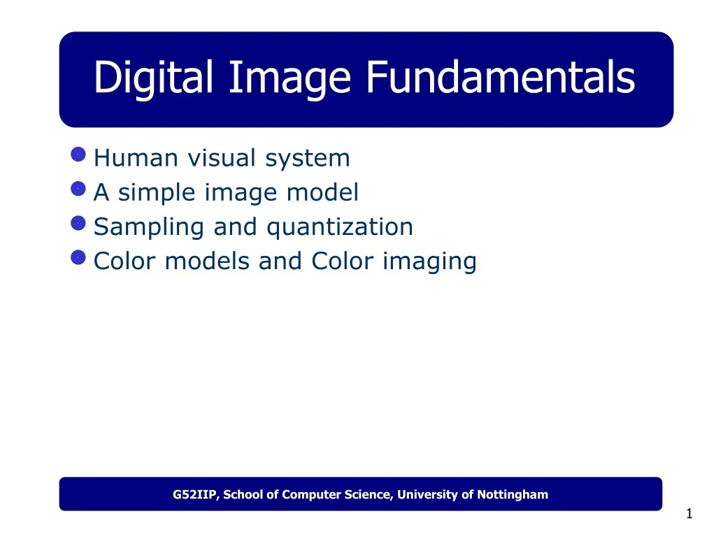 PPT - Human Visual System and Image Fundamentals PowerPoint ...