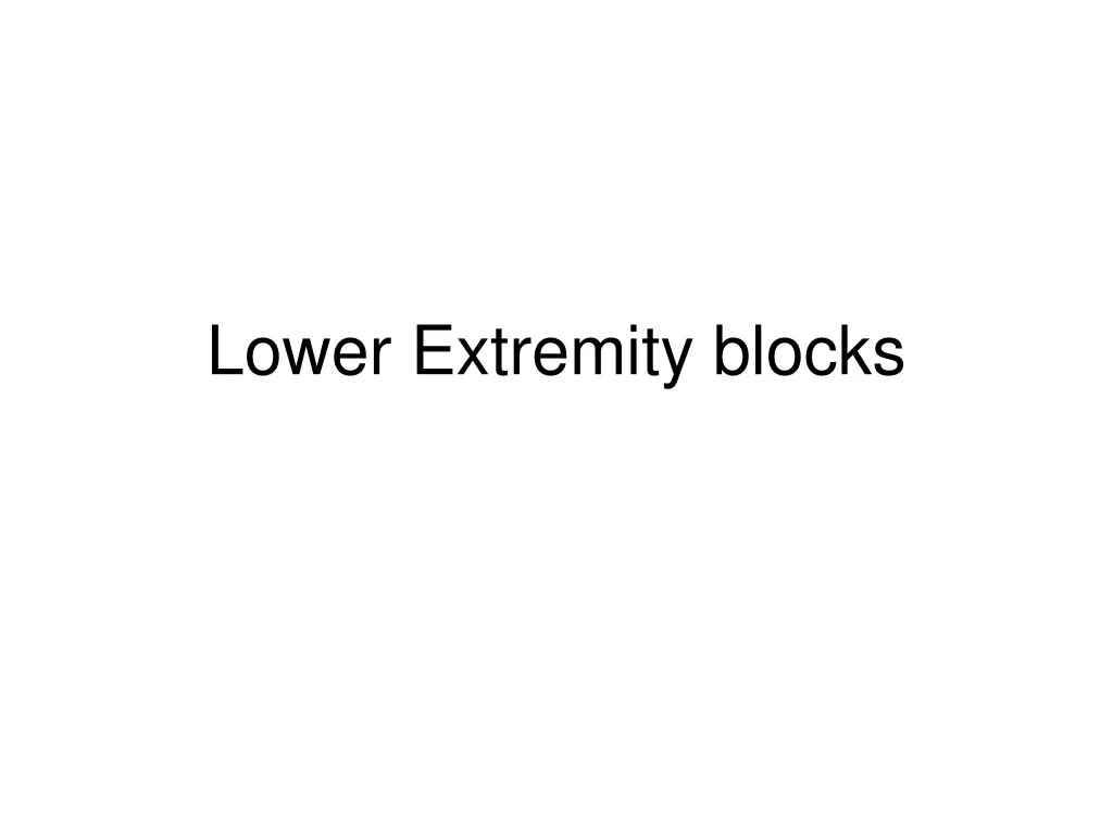 PPT - Lower Extremity Nerve Blocks: Lumbar Plexus & Genitofemoral Nerve ...