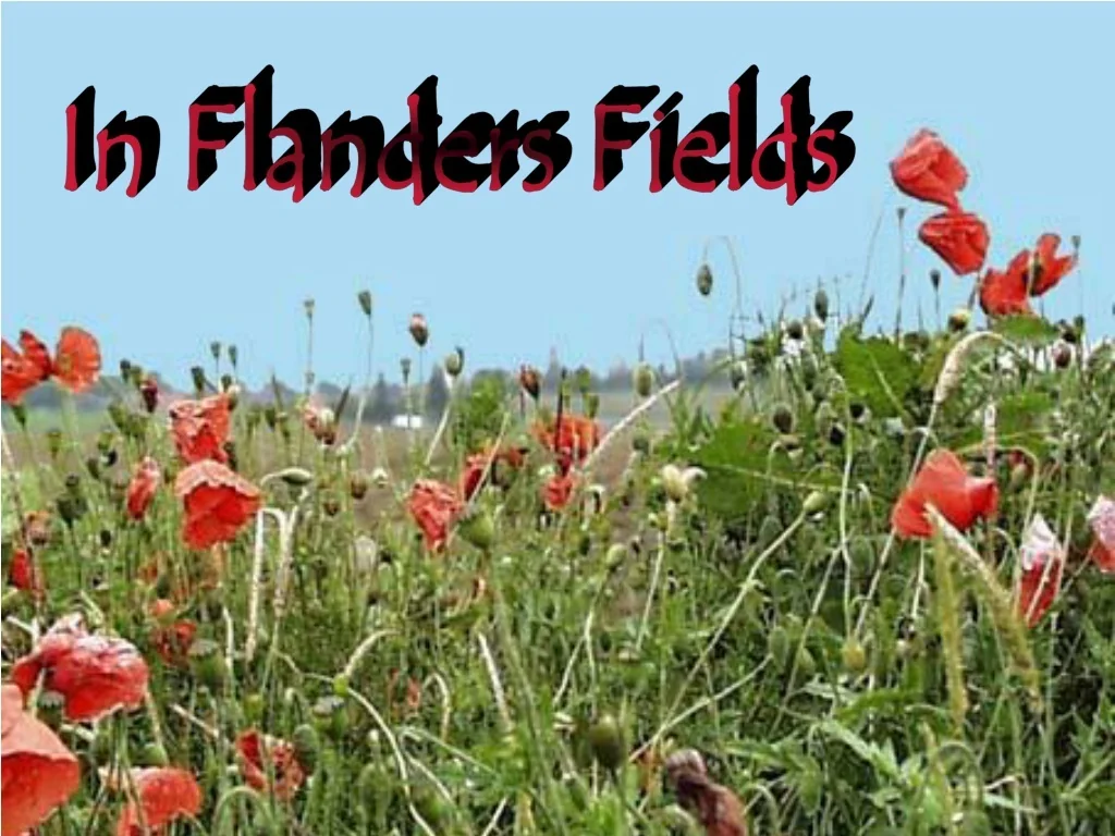 PPT - In Flanders Fields: A Tribute to the Fallen PowerPoint ...