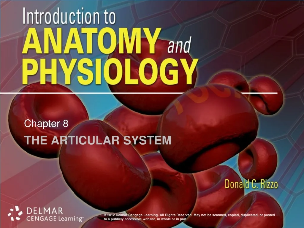 PPT - The Articular System PowerPoint Presentation, free download - ID ...