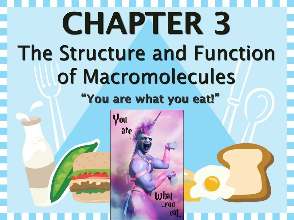 PPT - The Big Four Macromolecules: Carbohydrates, Proteins, Lipids ...