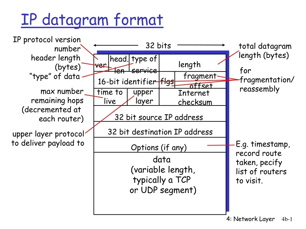 PPT - IP datagram format PowerPoint Presentation, free download - ID ...