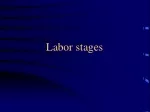 PPT - STAGES OF LABOR PowerPoint Presentation, free download - ID:6370053