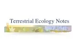 PPT - Ecology Guided Notes PowerPoint Presentation, free download - ID ...