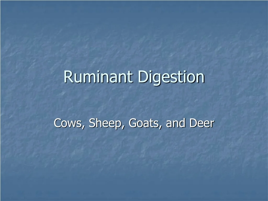 PPT - Ruminant Digestion in Cows, Sheep, Goats, and Deer: An Overview ...
