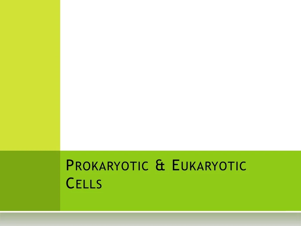 PPT - Prokaryotic & Eukaryotic Cells PowerPoint Presentation, free ...