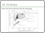 PPT - Ch. 52 Fibers, Fabrics, and Clothing Care PowerPoint Presentation ...