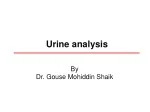 PPT - Urine analysis PowerPoint Presentation, free download - ID:632788