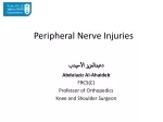 PPT - SURGICAL PRINCIPLES OF PERIPHERAL NERVE REPAIR PowerPoint ...