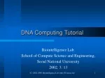 PPT - DNA Computing Tutorial PowerPoint Presentation, free download ...