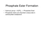 PPT - ESTER PowerPoint Presentation, free download - ID:2701098