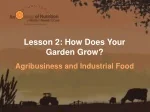 PPT - How Does Knowledge Grow PowerPoint Presentation, free download ...