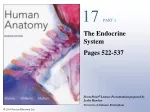 PPT - Chapter 17 (Part 1) PowerPoint Presentation, free download - ID ...