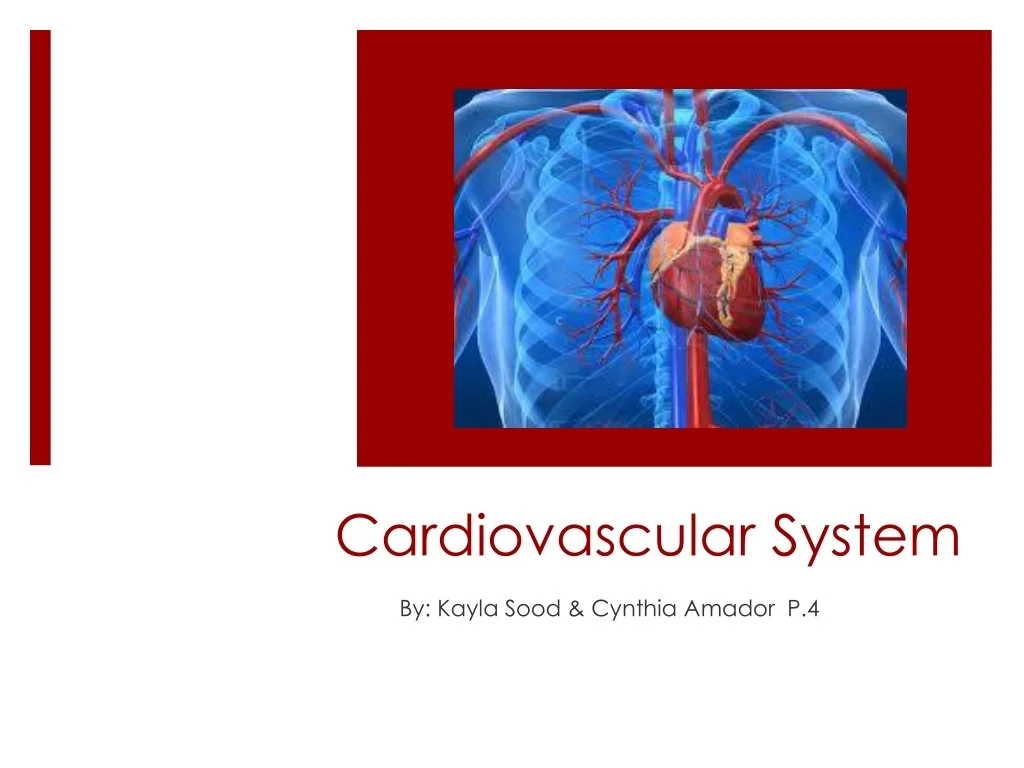PPT - Cardiovascular System PowerPoint Presentation, free download - ID ...