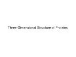 PPT - Chapter 4 The Three-Dimensional Structure of Proteins PowerPoint ...