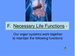 PPT - LIFE FUNCTIONS PowerPoint Presentation, free download - ID:2383668