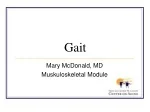 PPT - GAIT PowerPoint Presentation, free download - ID:714863