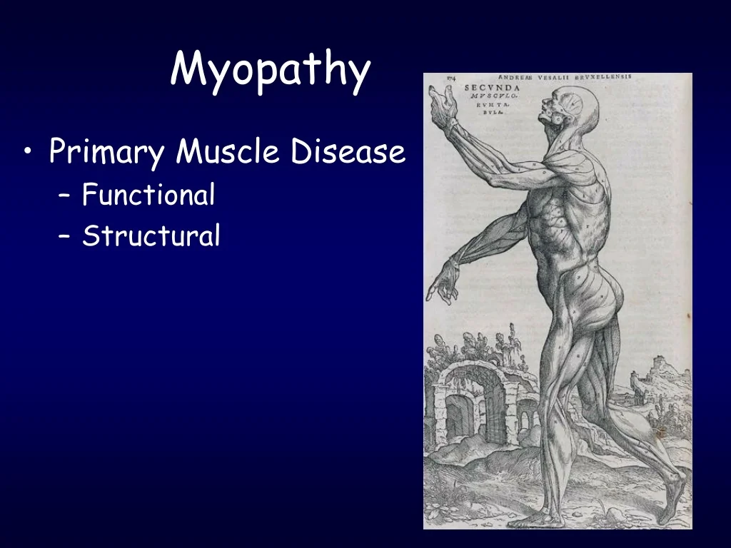 PPT - Myopathy PowerPoint Presentation, free download - ID:9444229