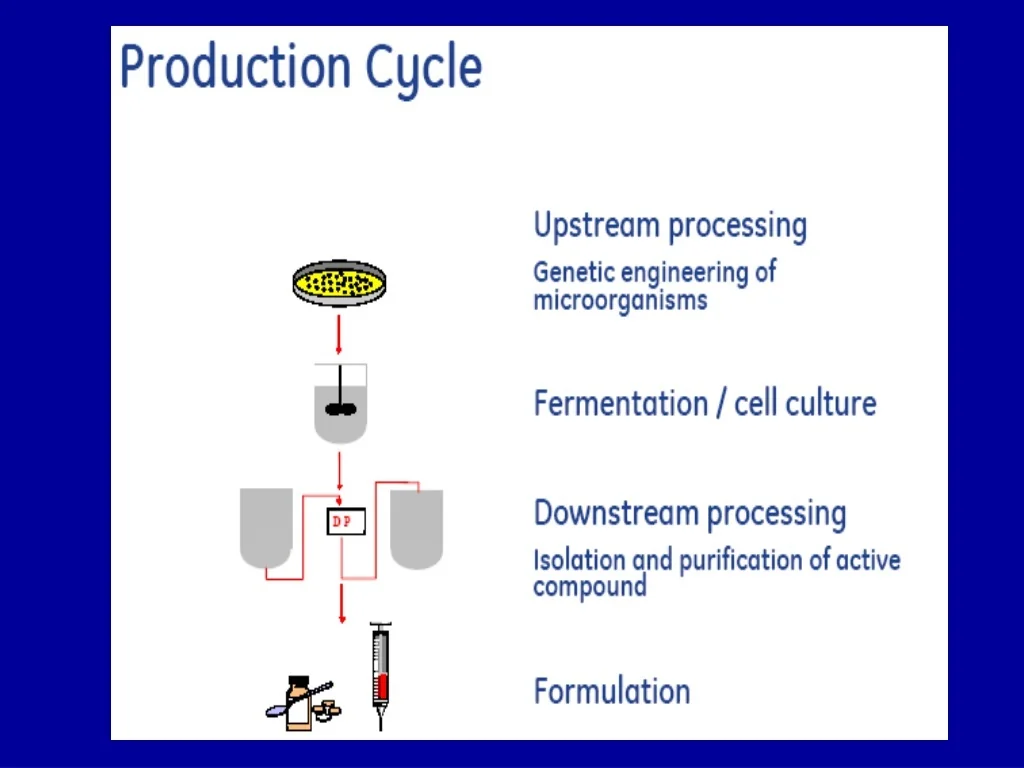 PPT - Fermentation PowerPoint Presentation, free download - ID:9444718