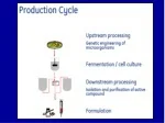 PPT - FERMENTATION PowerPoint Presentation, free download - ID:1268988