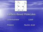 PPT - Carbon based life PowerPoint Presentation, free download - ID:9729624