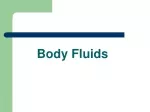 PPT - Body Fluids PowerPoint Presentation, free download - ID:2949985