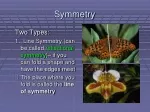 PPT - Reflection symmetry PowerPoint Presentation, free download - ID ...