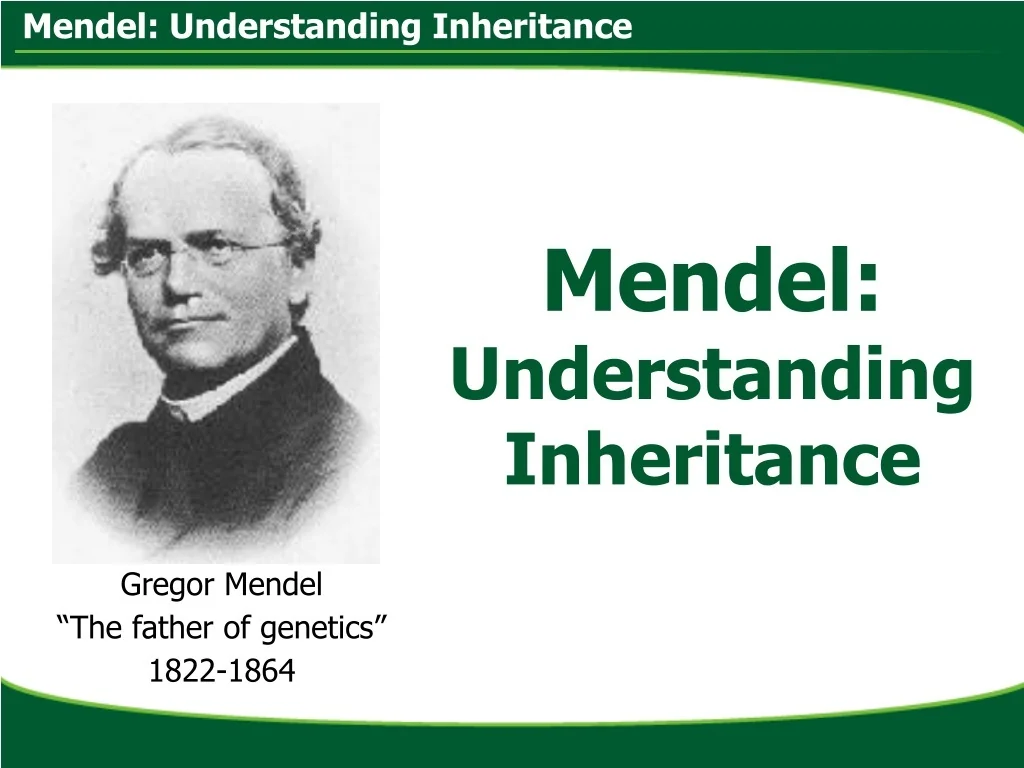 PPT - Mendel: Understanding Inheritance PowerPoint Presentation, free ...