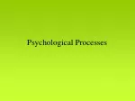 PPT - Basic Psychological Processes-Defined PowerPoint Presentation ...