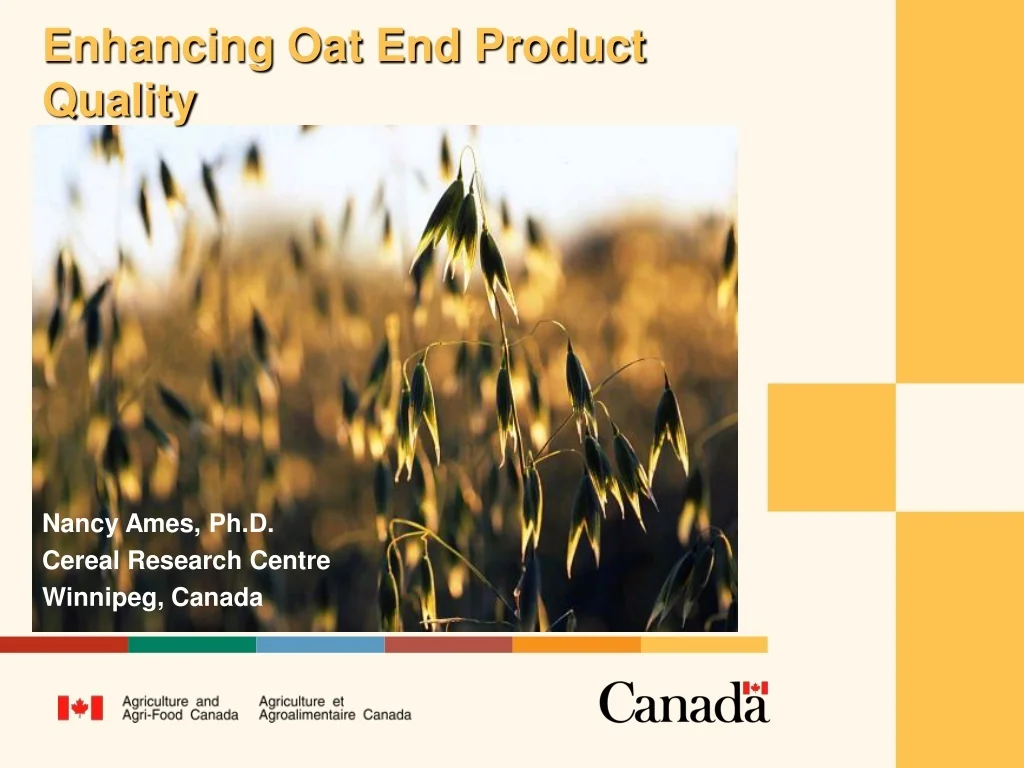 PPT - Improving Oat Quality for Health & Taste | Oat End Product ...